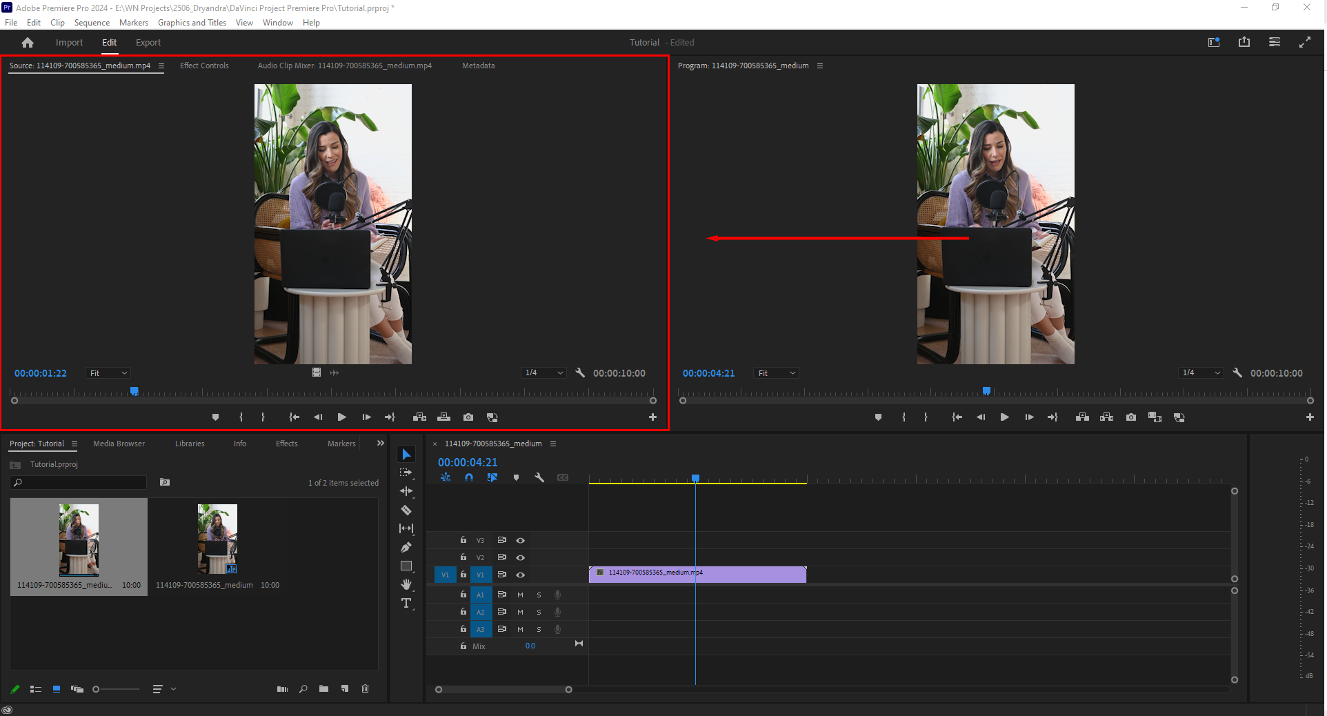Adobe Premiere Pro tutorial: Beginners guide - Storyblocks