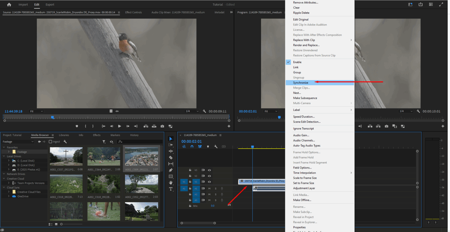 Adobe Premiere Pro tutorial: Beginners guide - Storyblocks