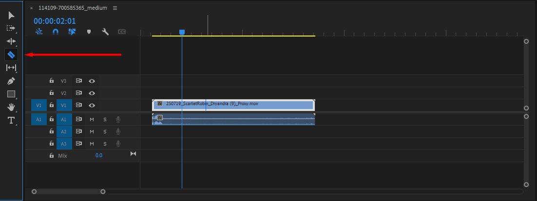 Adobe Premiere Pro tutorial: Beginners guide - Storyblocks