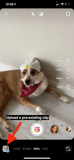How to Post An Instagram Reel - Storyblocks