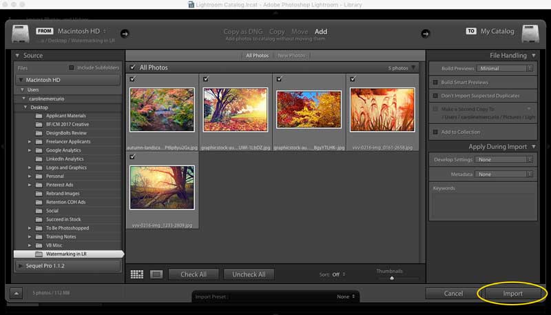 How to Add a Watermark in Adobe Lightroom - Storyblocks