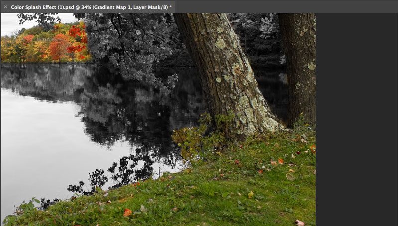 How to Add the Color Splash Effect in Photoshop -- Storyblocks Blog