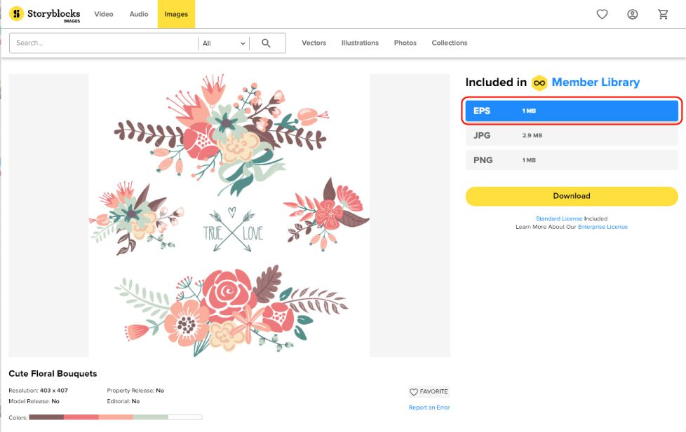 How to Edit Vectors in Adobe Illustrator - Storyblocks