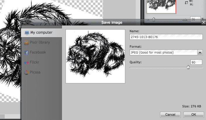 How to Crop and Rotate an Image in Pixlr -- Create with Storyblocks