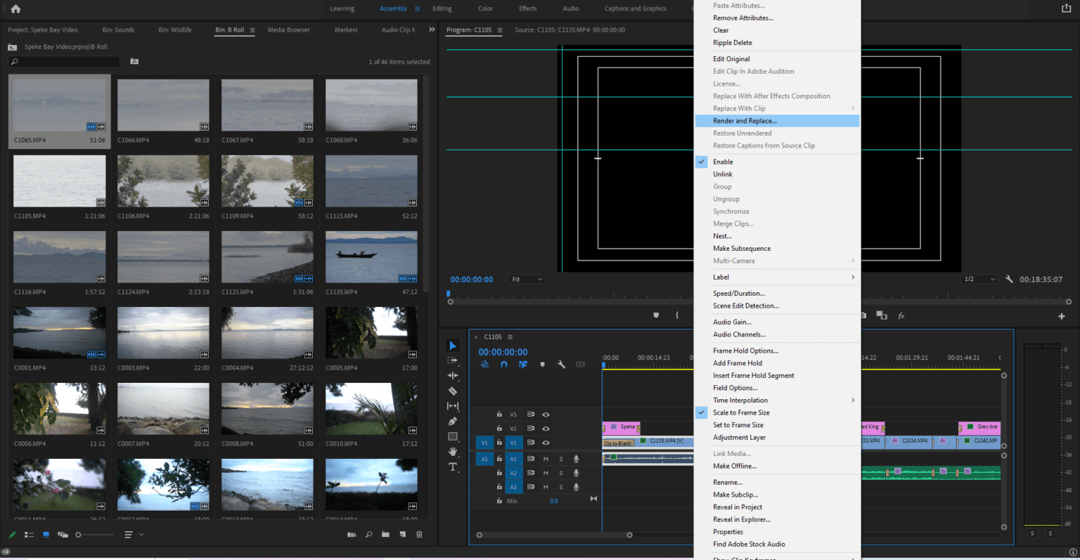 How to make Premiere Pro run faster - Storyblocks