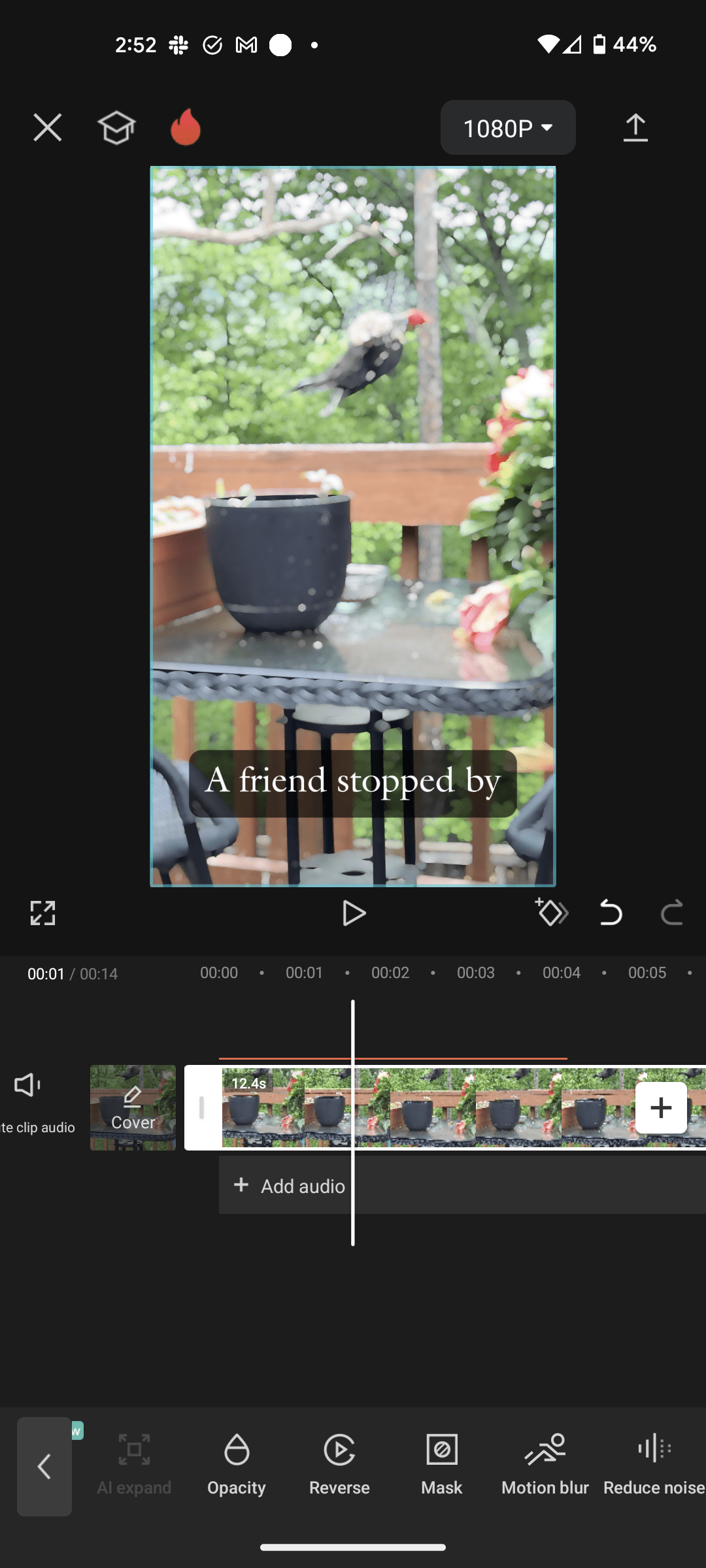 CapCut 101: How to use the popular video editing app - Storyblocks