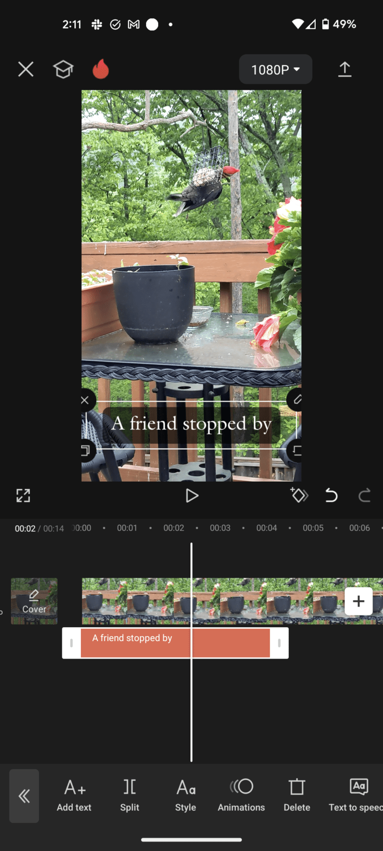 CapCut 101: How to use the popular video editing app - Storyblocks