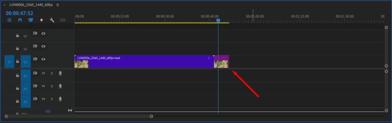 3 ways to do a freeze frame in Premiere Pro - Storyblocks