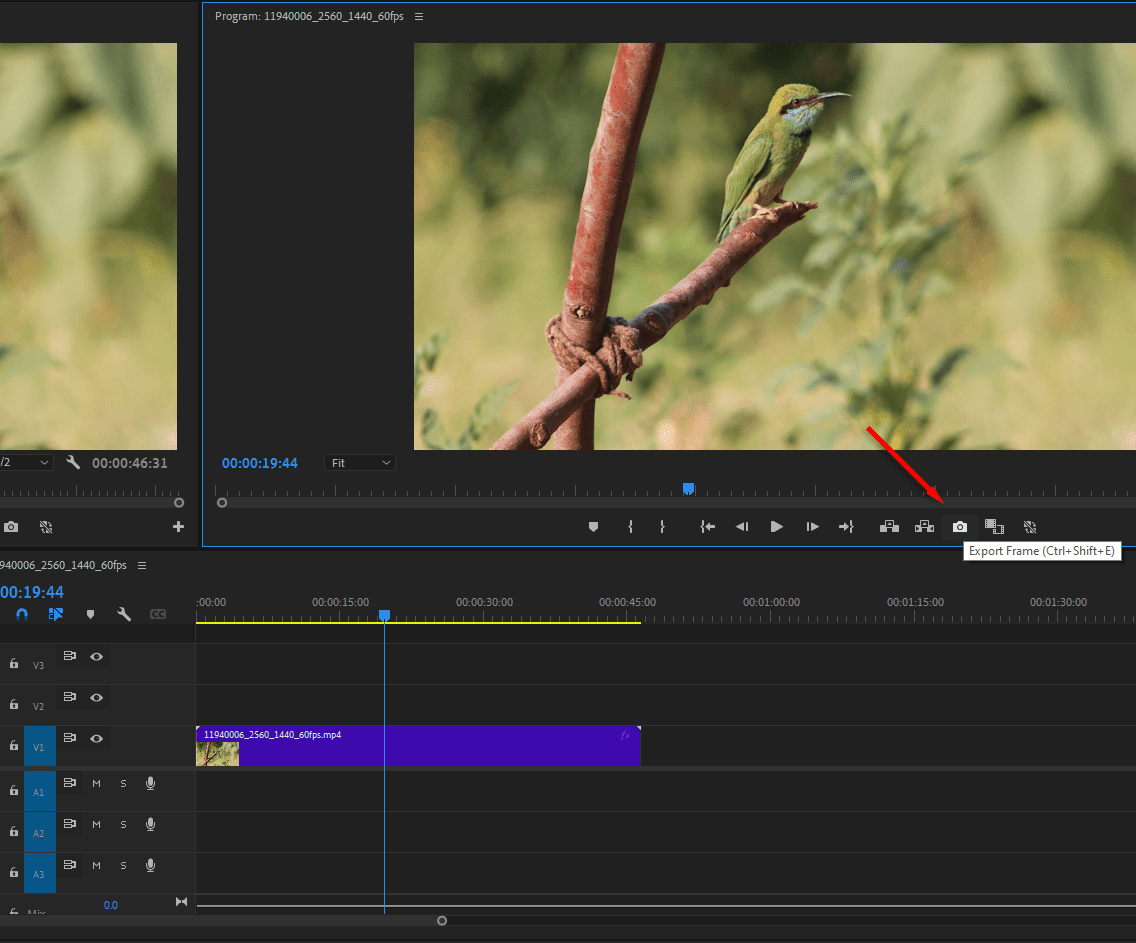 3 ways to do a freeze frame in Premiere Pro - Storyblocks