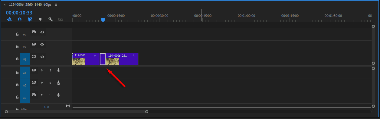 3 ways to do a freeze frame in Premiere Pro - Storyblocks