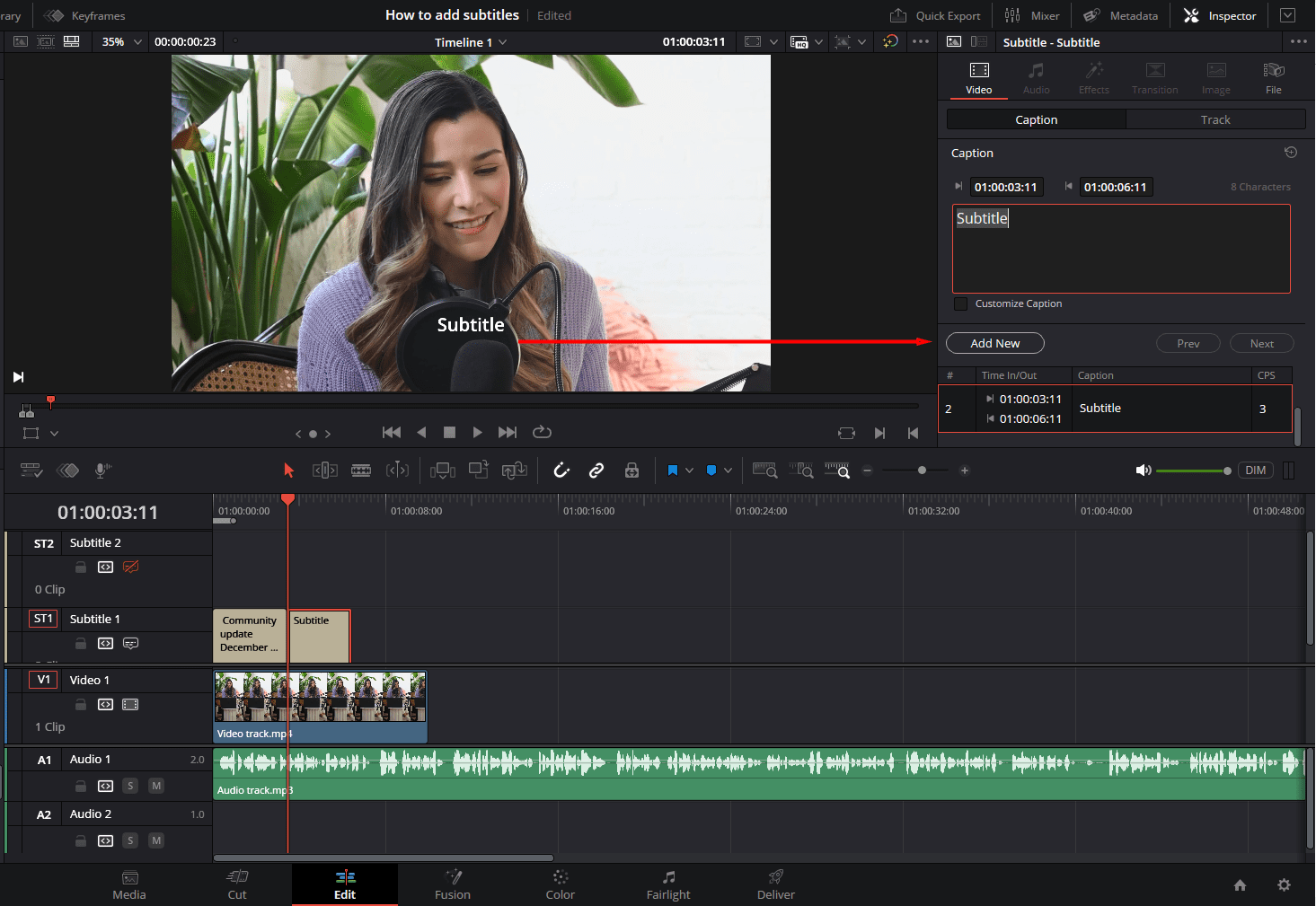 How to add subtitles in DaVinci Resolve - Storyblocks