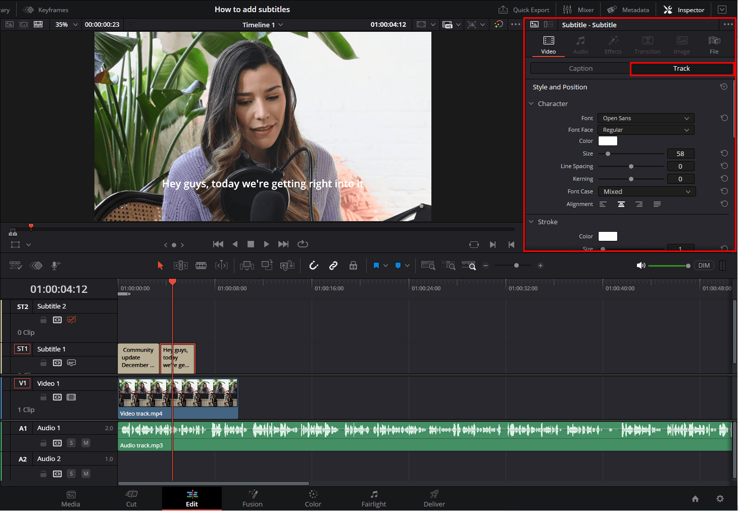 How to add subtitles in DaVinci Resolve - Storyblocks