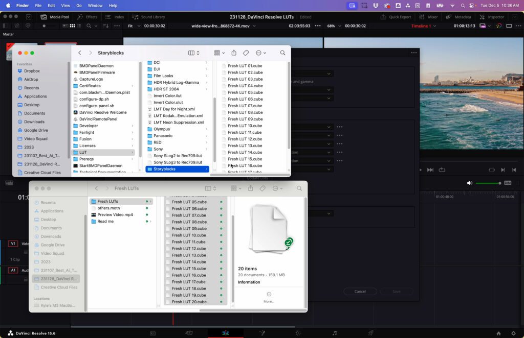 How to add LUTs into DaVinci Resolve - Storyblocks