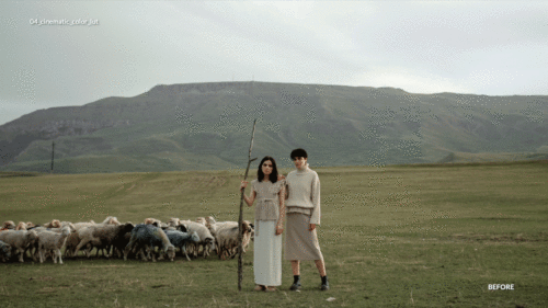 What is a LUT? Learn all about the powerful color grading tool ...