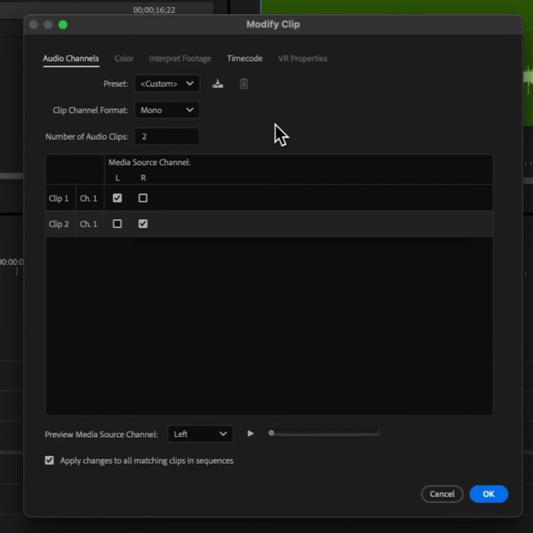 Converting stereo tracks to dual mono in Premiere Pro - Storyblocks