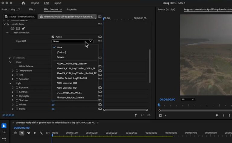 How to use LUTs in Premiere Pro - Storyblocks