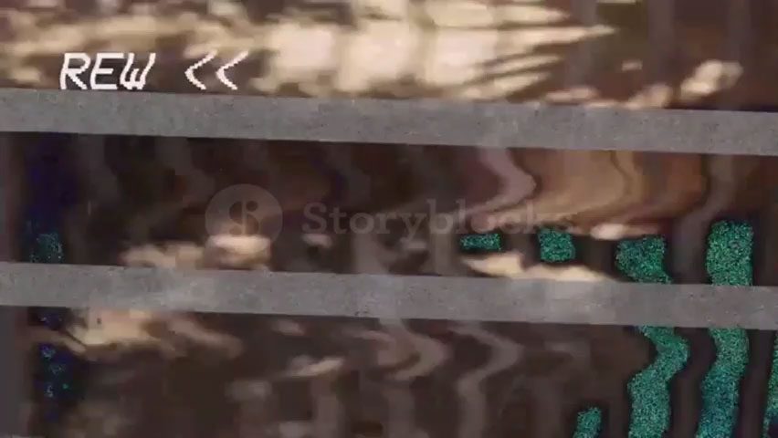 How to reverse a video in Premiere Pro - Storyblocks