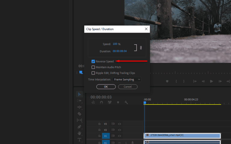 How to reverse a video in Premiere Pro - Storyblocks