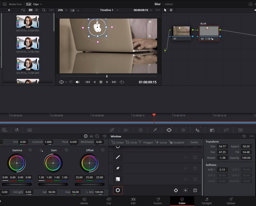 How to blur in DaVinci Resolve - Storyblocks