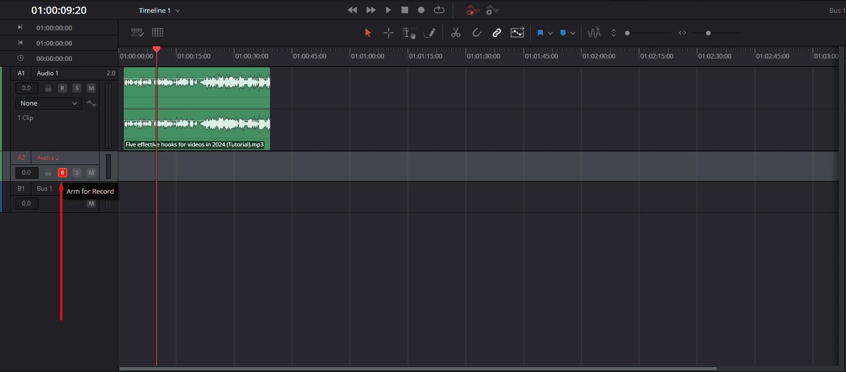 How to record audio in DaVinci Resolve - Storyblocks