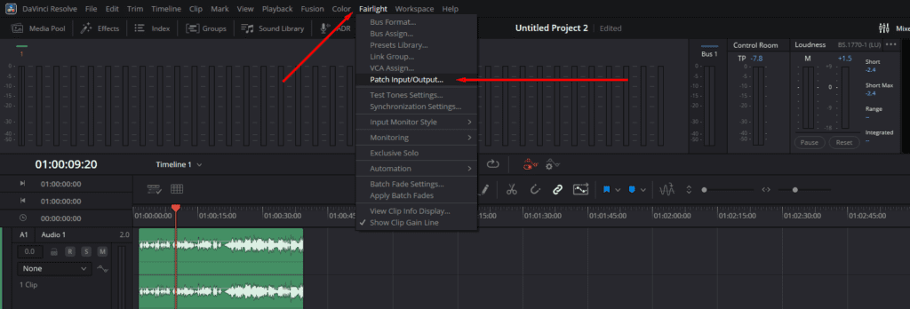 How to record audio in DaVinci Resolve - Storyblocks