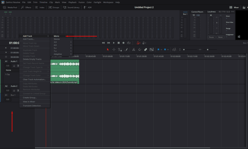 How to record audio in DaVinci Resolve - Storyblocks
