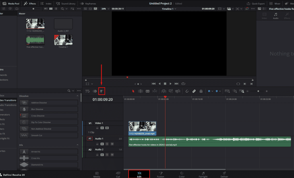 How to record audio in DaVinci Resolve - Storyblocks