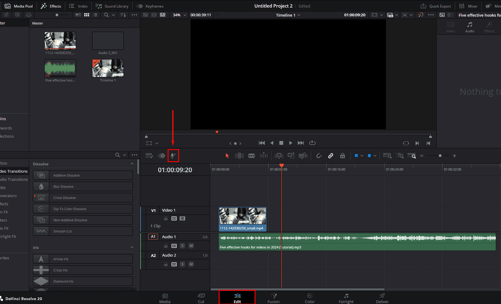 How to record audio in DaVinci Resolve - Storyblocks