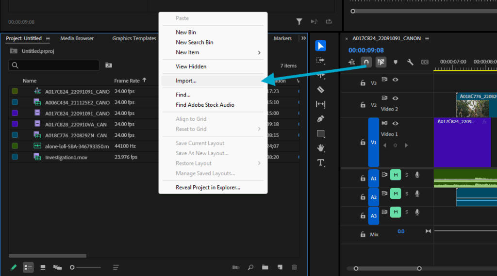 How to create and export alpha channels - Storyblocks