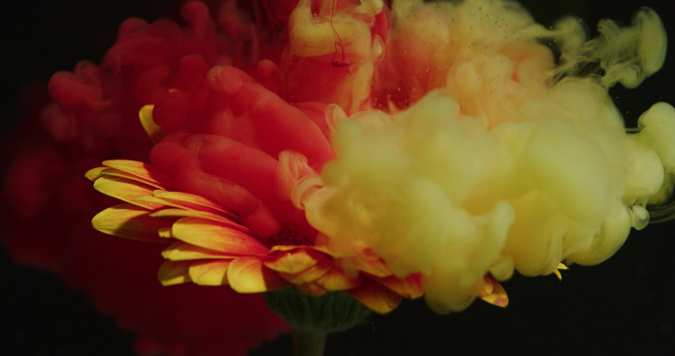 Top DaVinci Resolve effects packs for easy vfx - Storyblocks