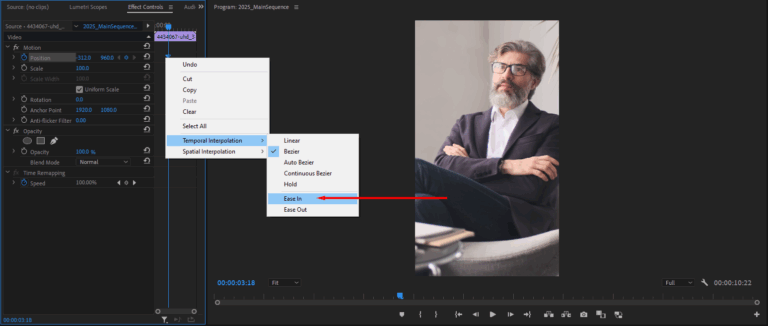 How to crop horizontal video to vertical in Premiere Pro - Storyblocks