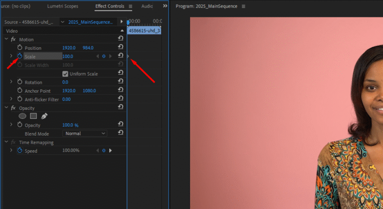 How to zoom in on Premiere Pro - Storyblocks